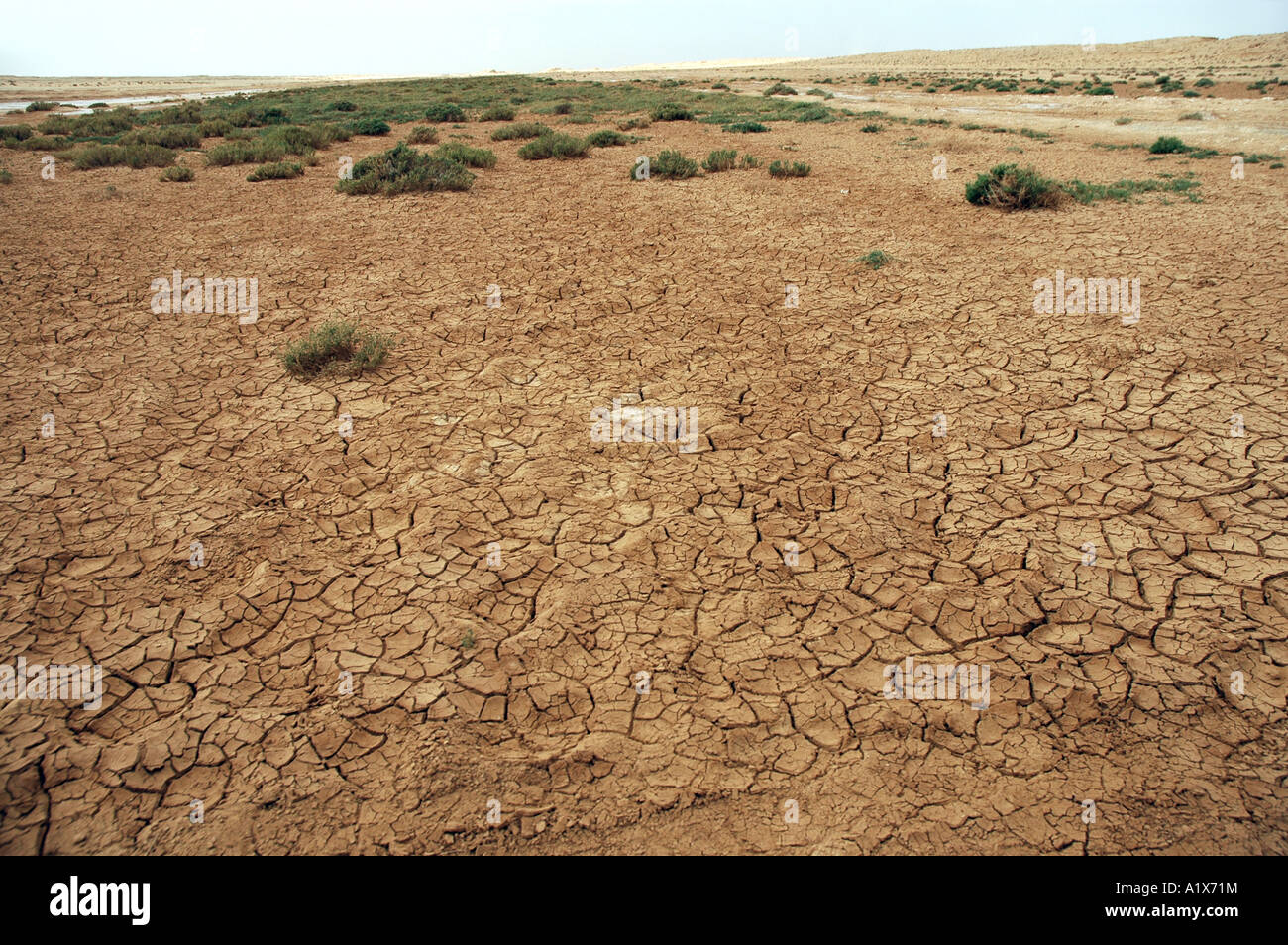 Very dried up ground on Sahara desert in Tunisia Stock Photo - Alamy