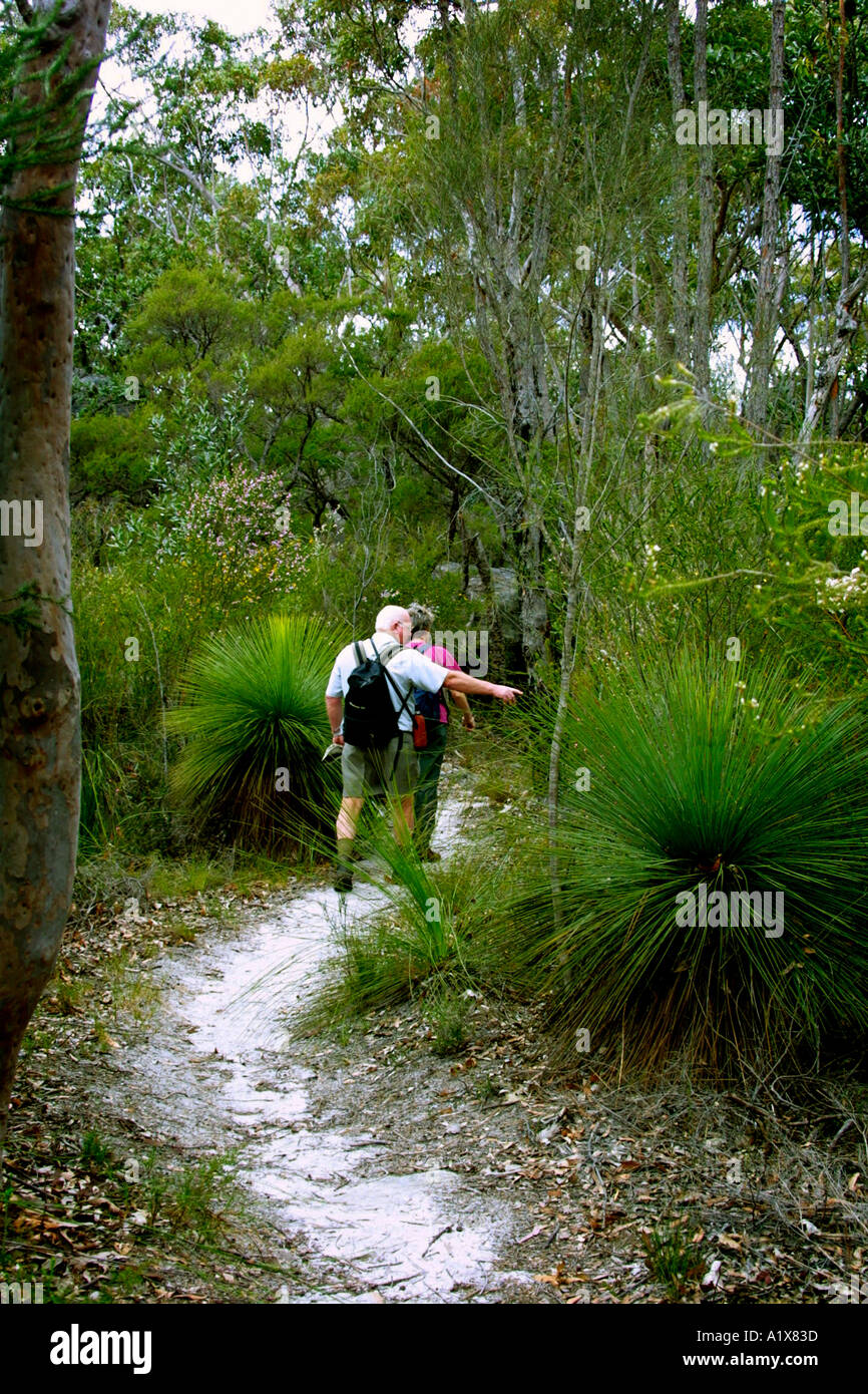 Bush-walking near Sydney Australia Stock Photo - Alamy
