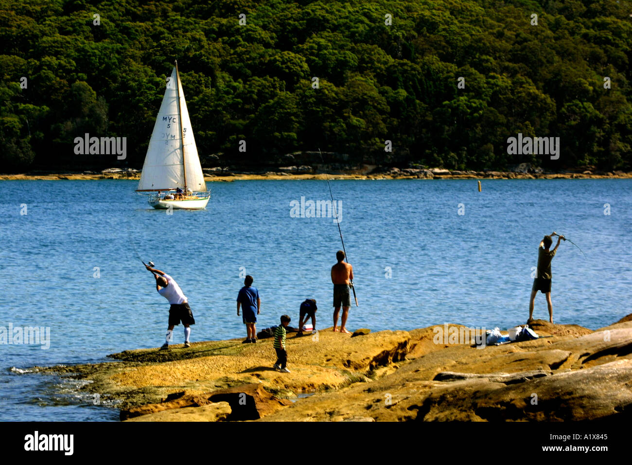 Sydney summer recreation Stock Photo - Alamy