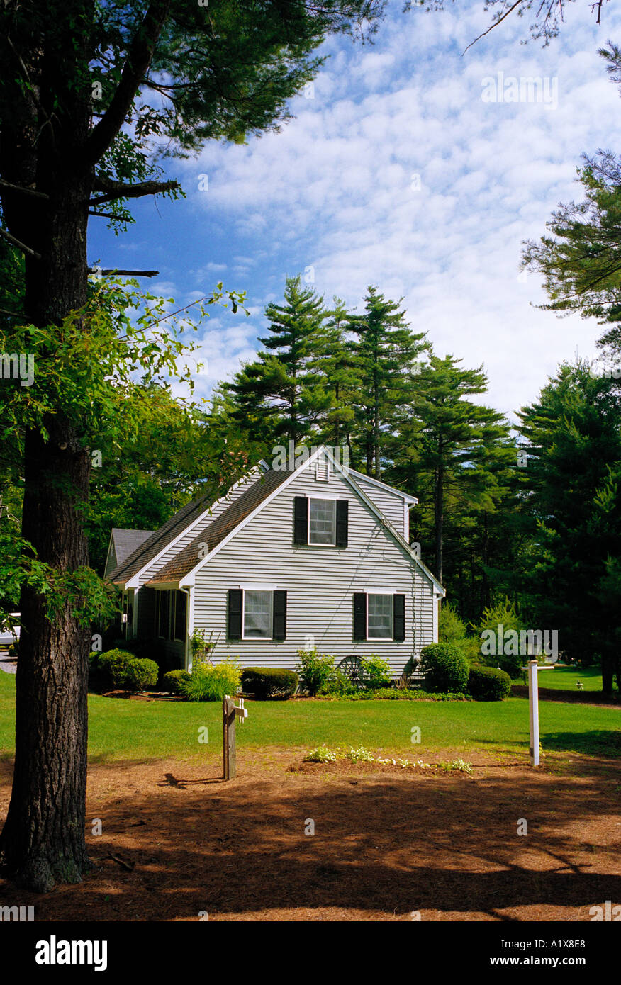 A traditional style salt house among the trees on Cape Cod ...