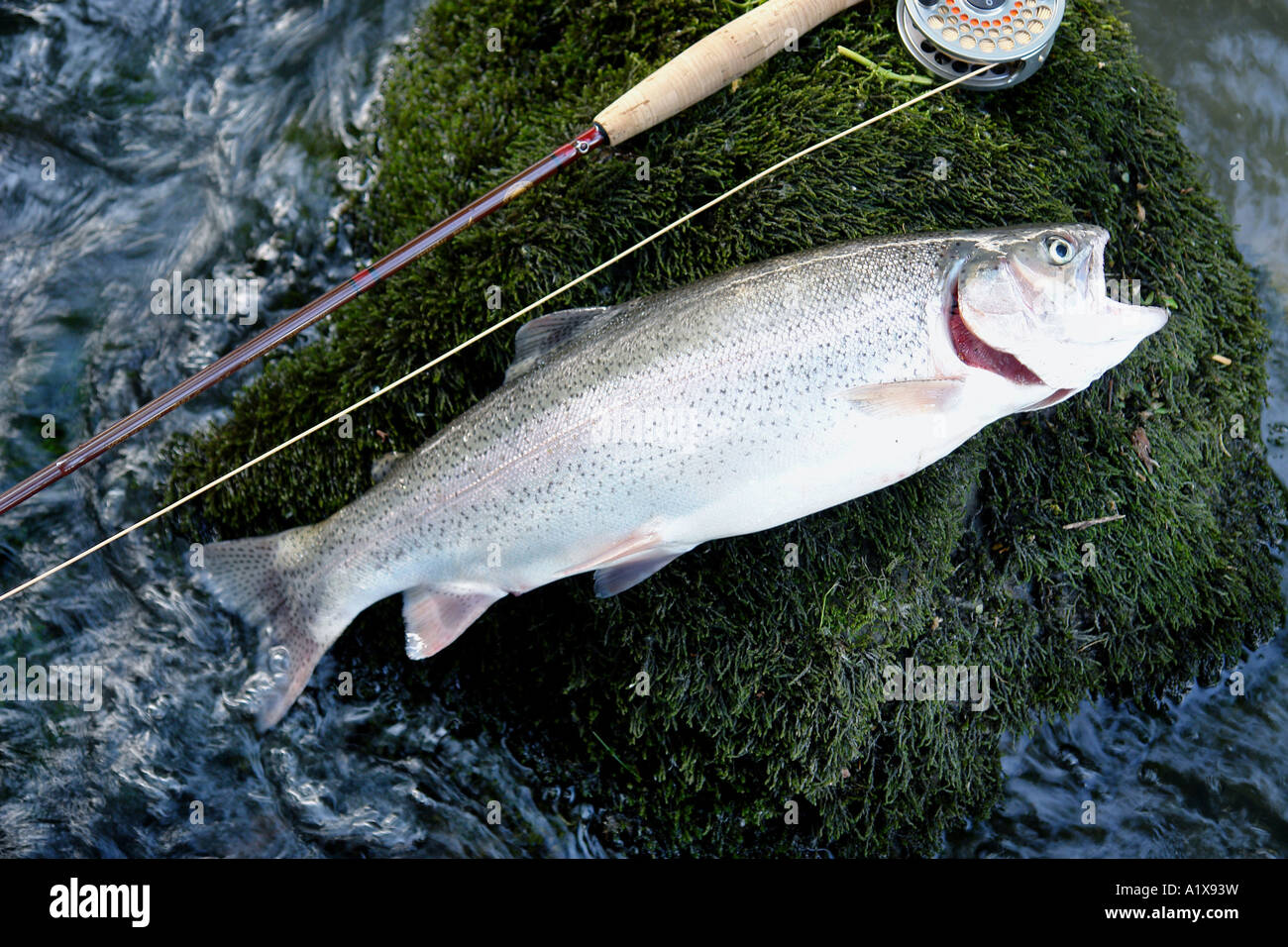 Lucky rods hi-res stock photography and images - Alamy