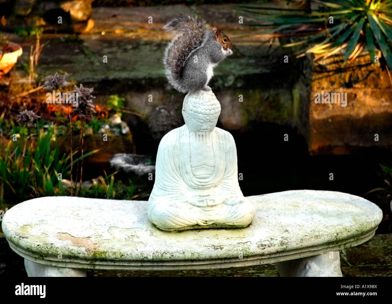 Squirrel statue hi-res stock photography and images - Alamy