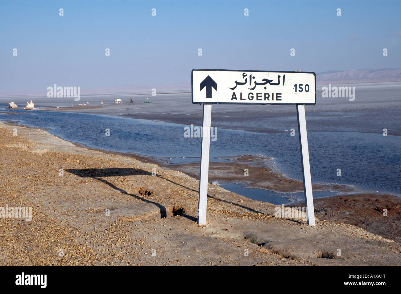 Sign informed about distance to Algeria border on the roadside of ...