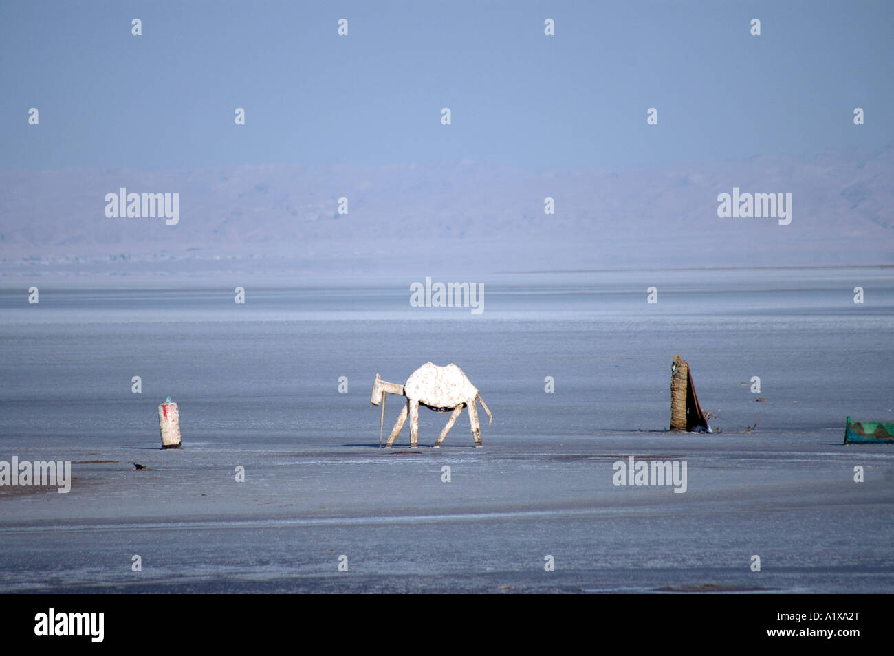 Chott el Jerid lake in Tunisia Stock Photo - Alamy