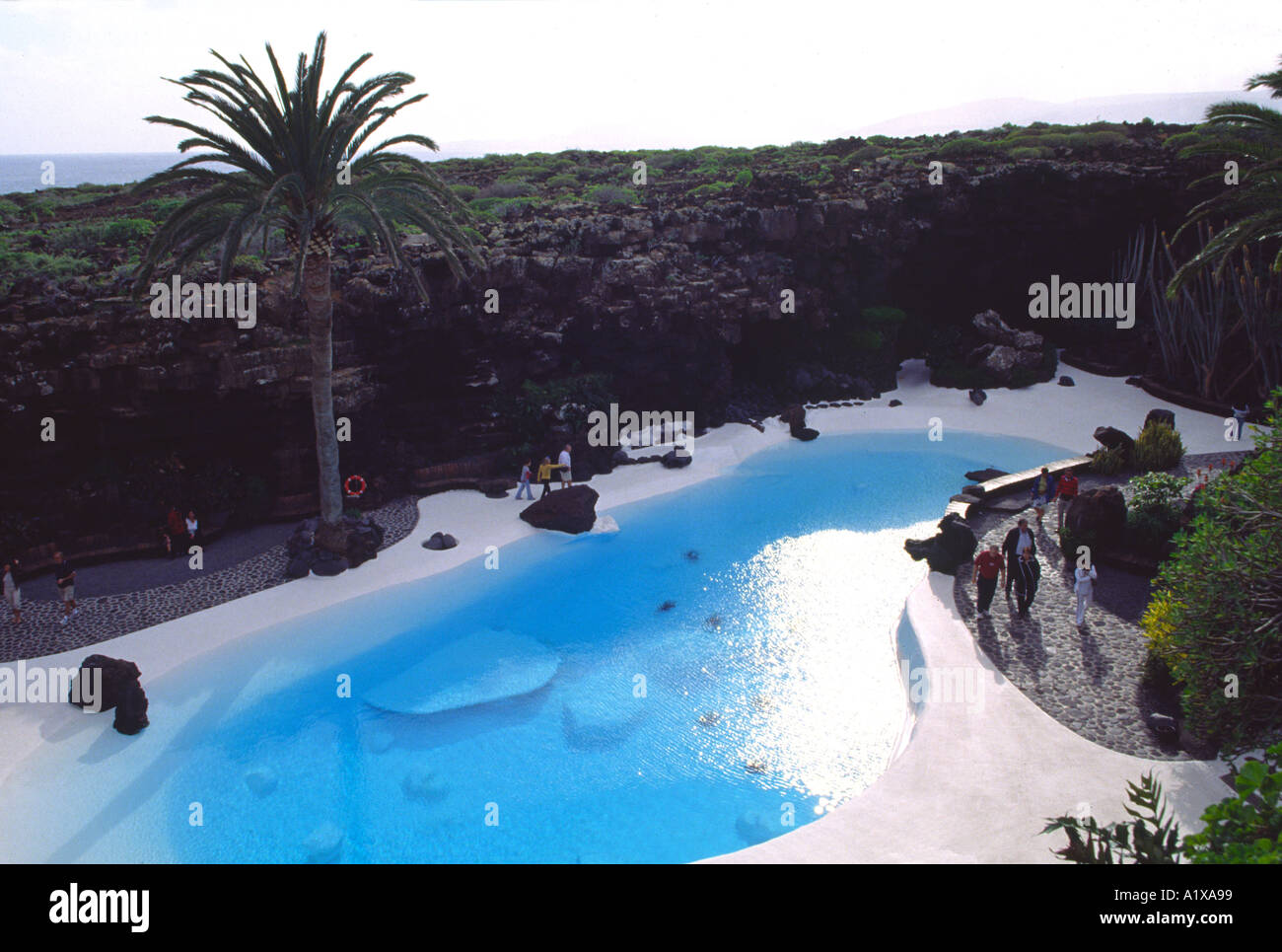 Outdoor swimming pool at Cesar Manrique s house Lanzarote Canary ...