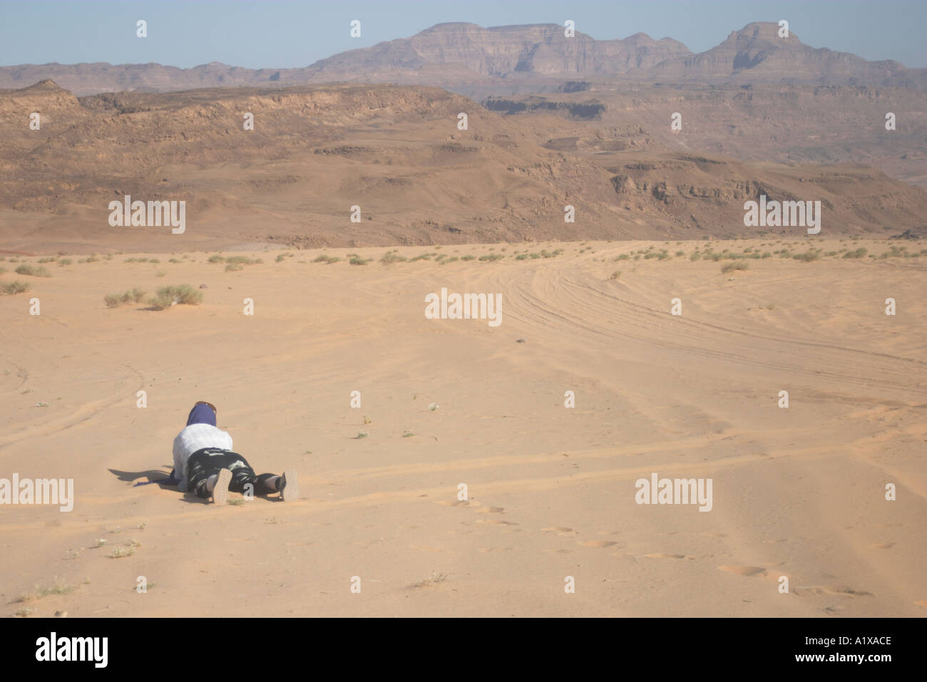 A tourist photographing flowers in the Desert of Sin Sinai Peninsula ...