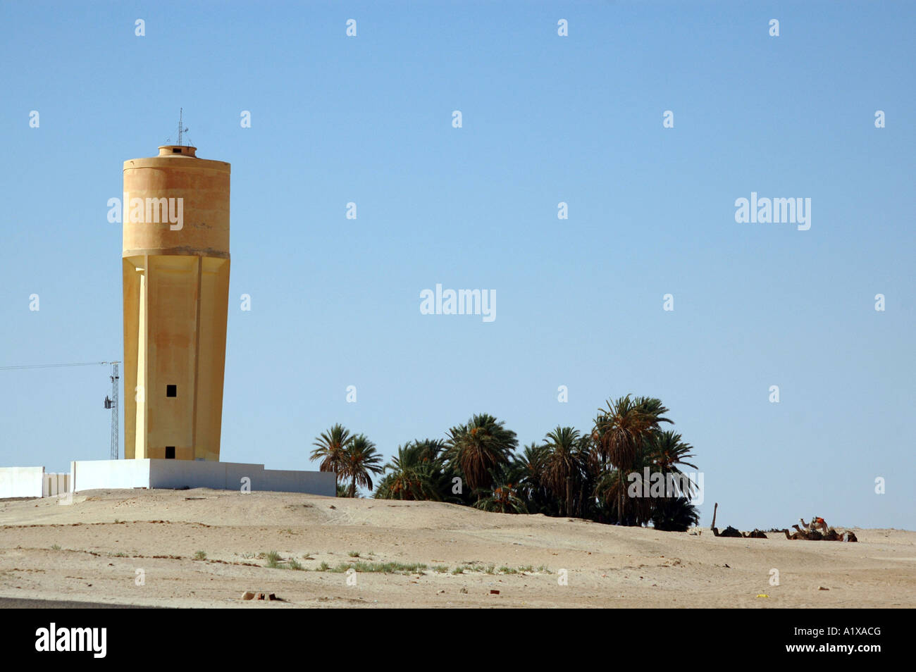 Douz in Tunisia Stock Photo - Alamy