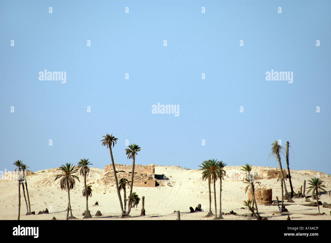 Sahara desert near Douz oasis in Tunisia Stock Photo - Alamy