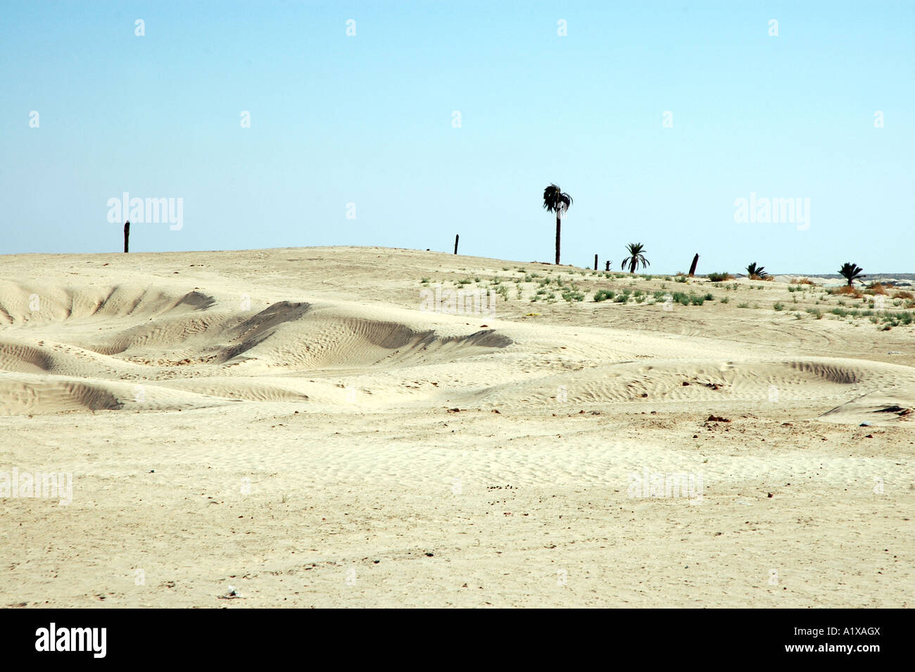 Oasis of douz tunisia hi-res stock photography and images - Alamy