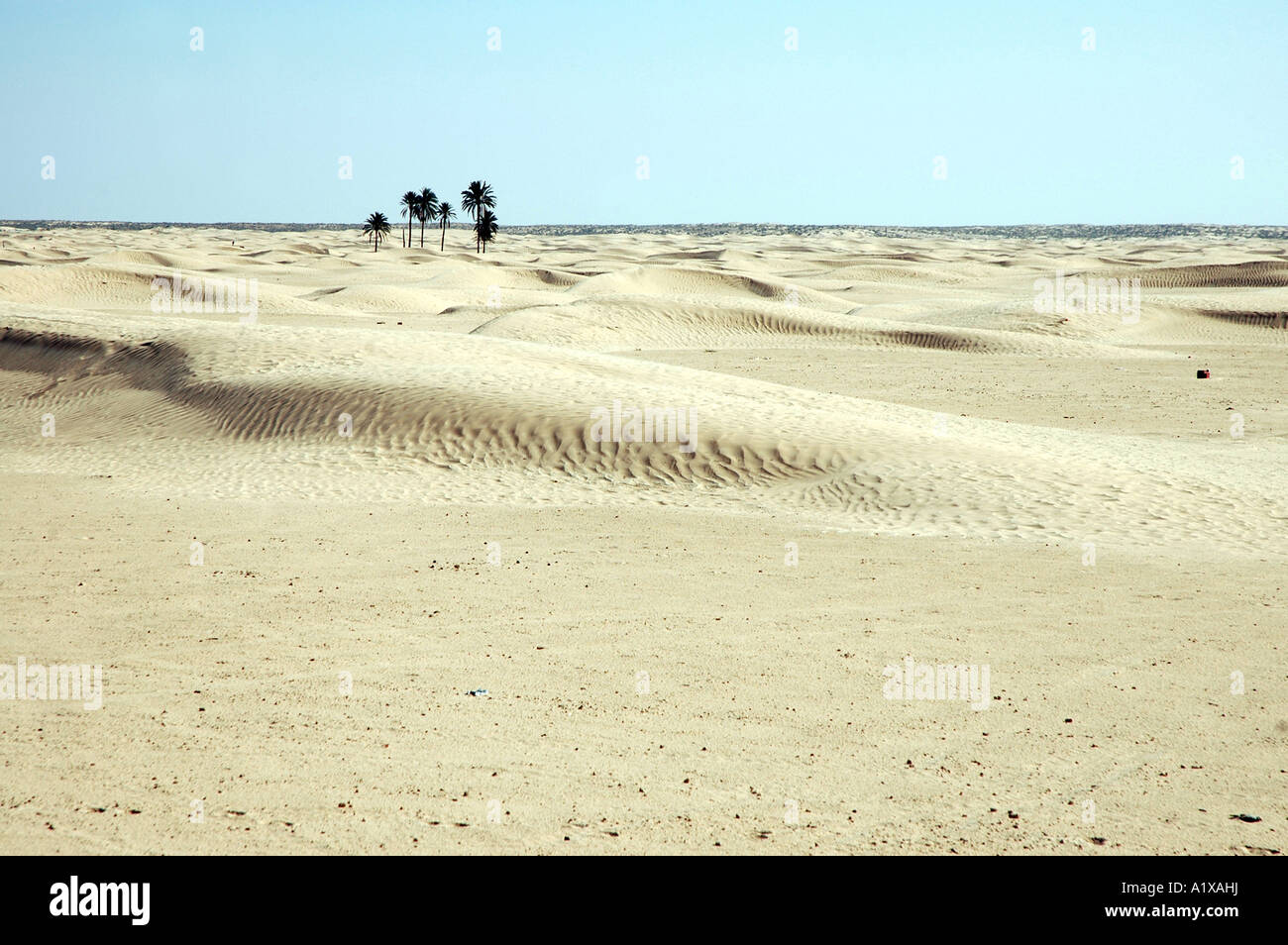 Oasis of douz tunisia hi-res stock photography and images - Alamy