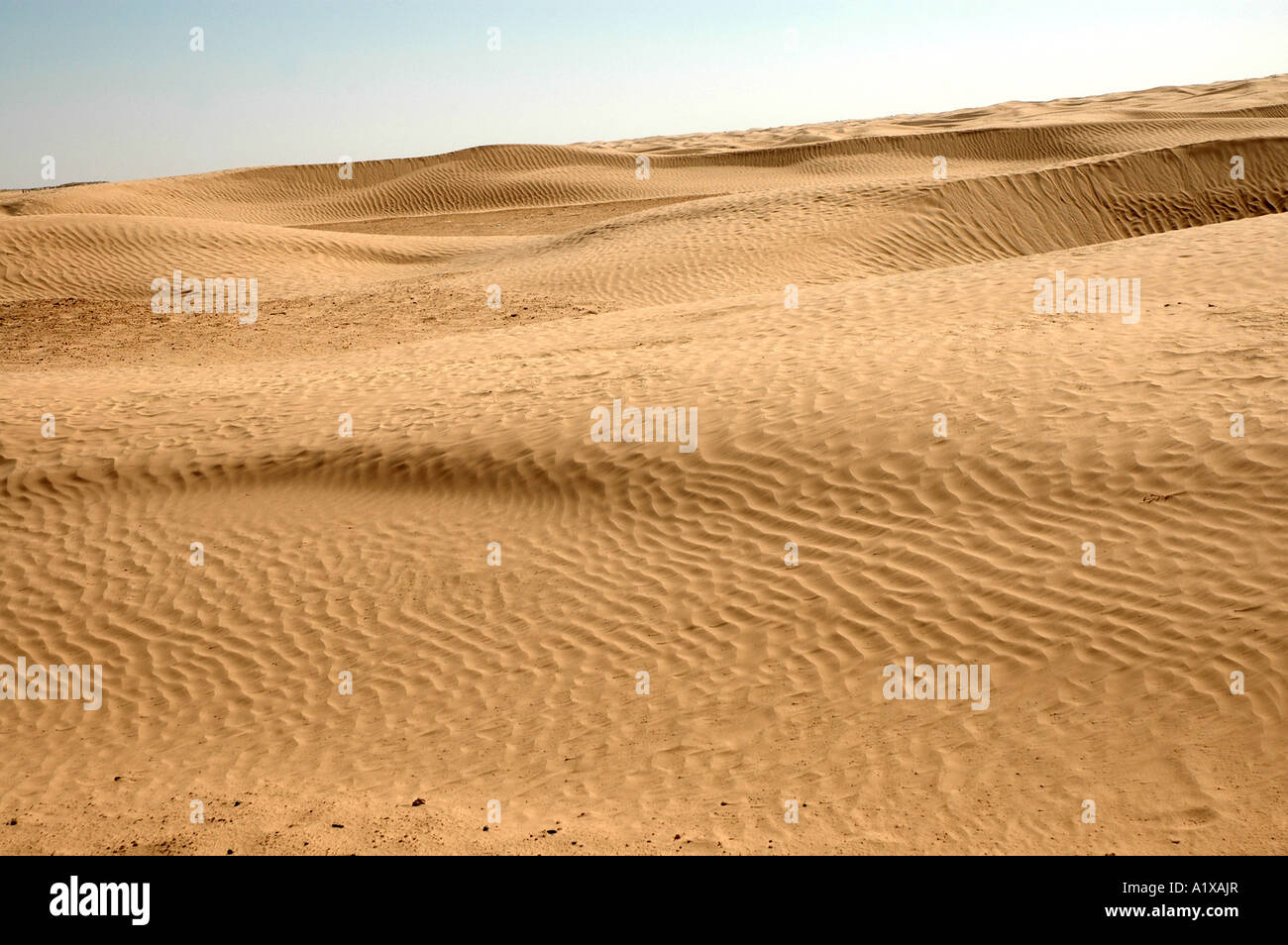 Sahara desert near Douz oasis in Tunisia Stock Photo - Alamy
