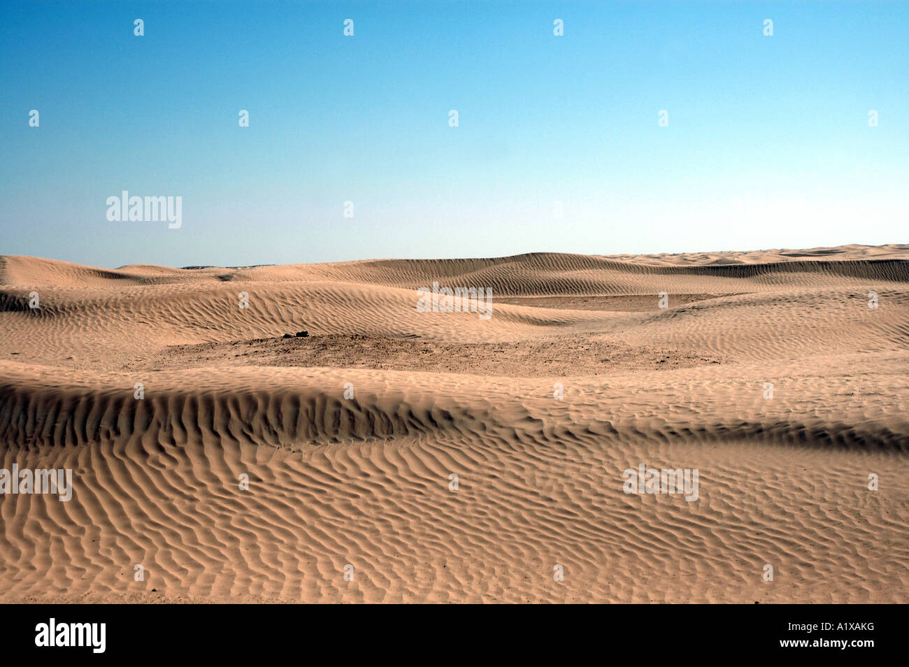 Sahara desert near Douz oasis in Tunisia Stock Photo - Alamy