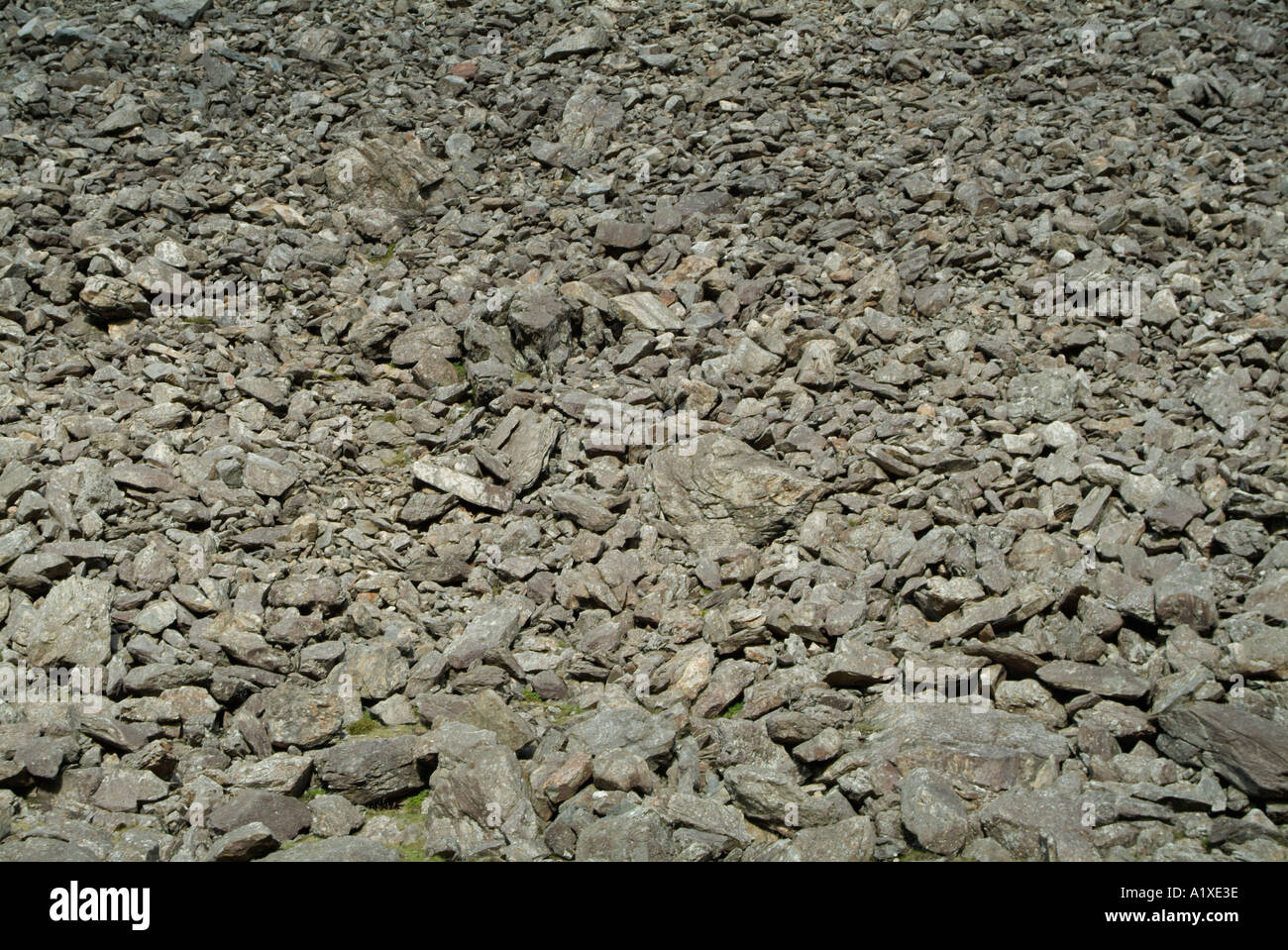 rock scree below a cliff in north wales Stock Photo - Alamy