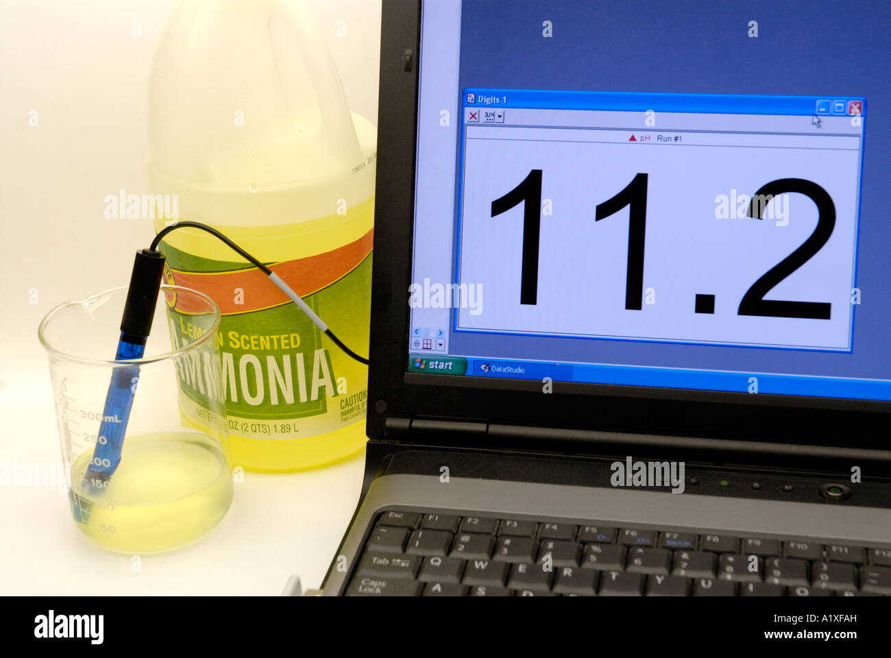 Digital pH sensor measuring pH of a base, ammonia Stock Photo - Alamy