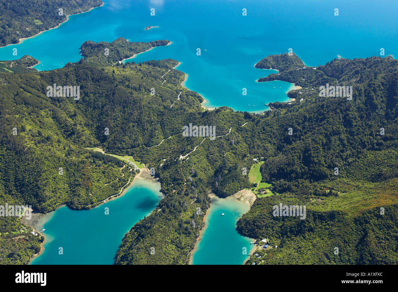 Mistletoe bay new zealand hi-res stock photography and images - Alamy