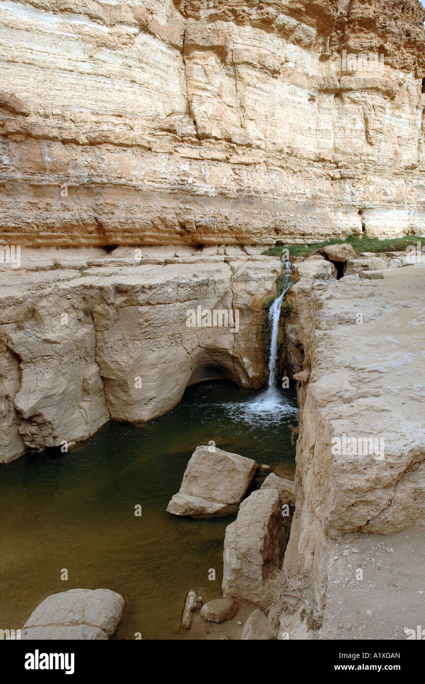 Waterfall in Tamerza oasis, Tunisia Stock Photo - Alamy