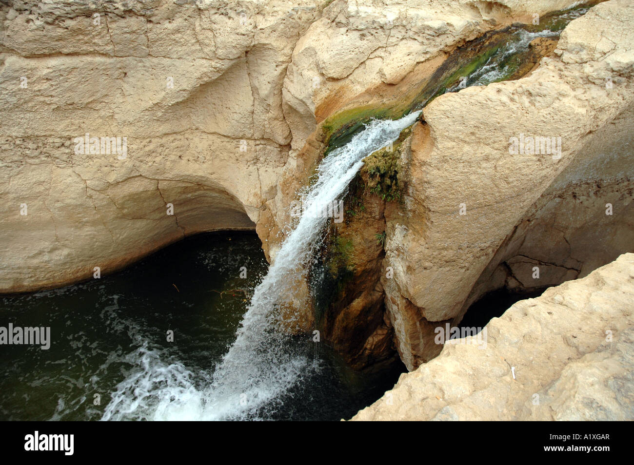 Waterfall in Tamerza oasis, Tunisia Stock Photo - Alamy