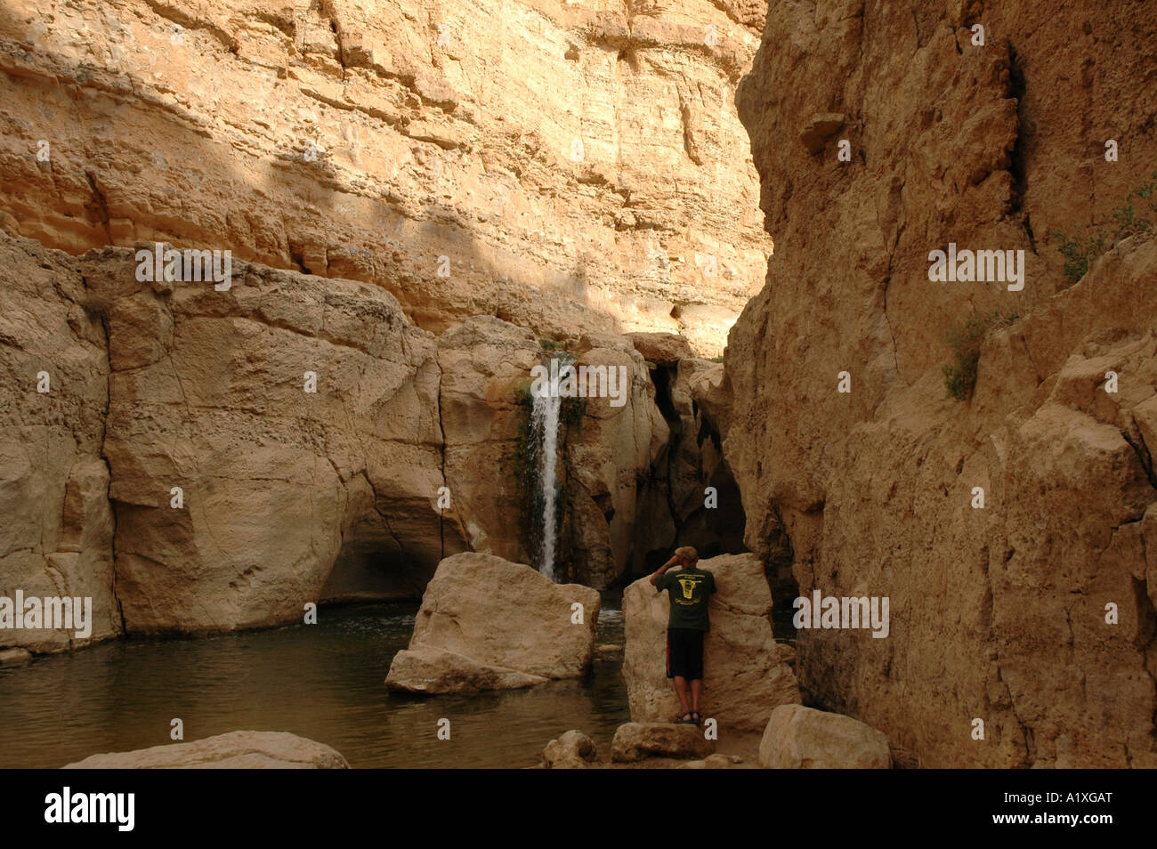 Waterfall in Tamerza oasis, Tunisia Stock Photo - Alamy