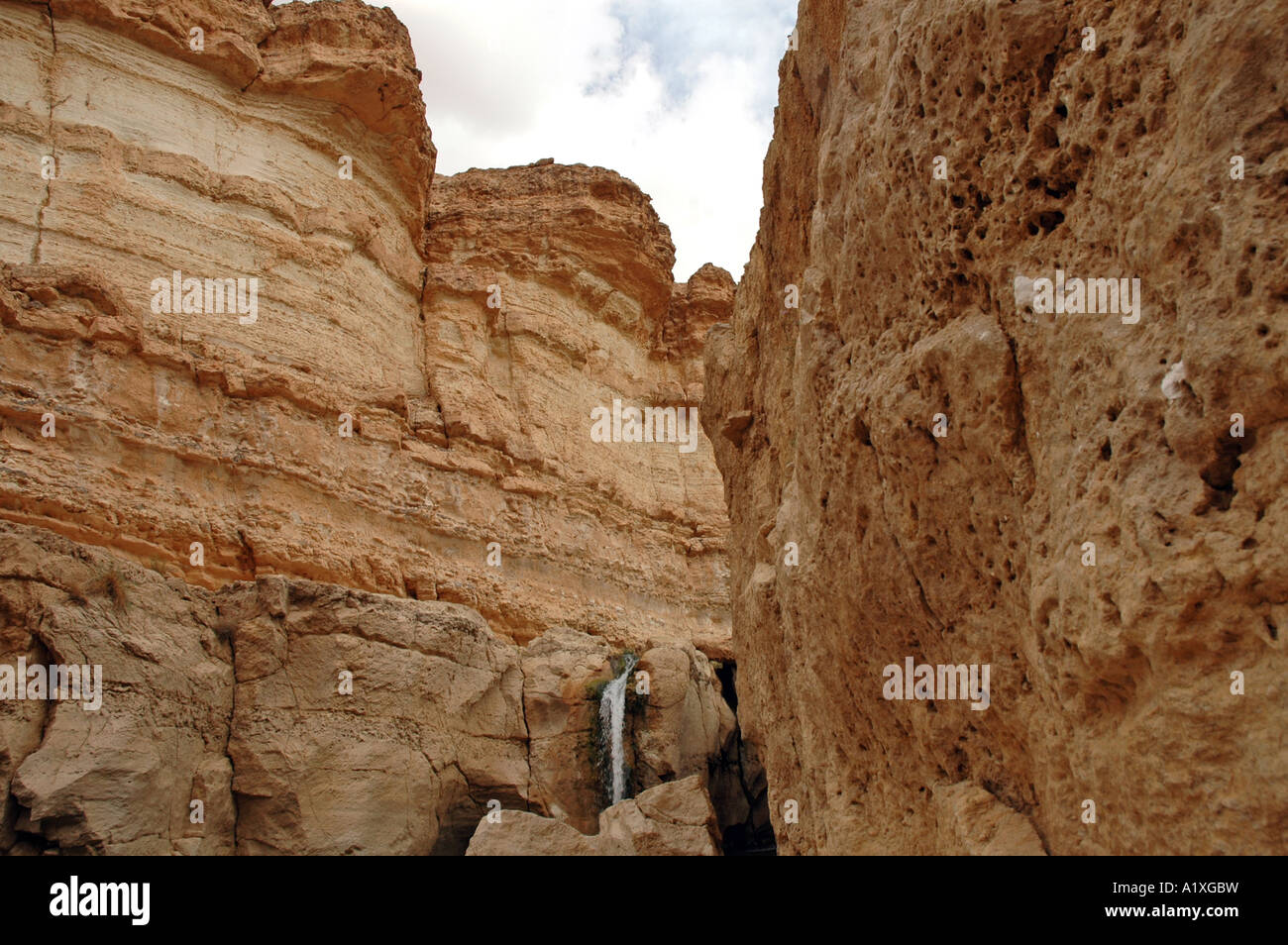Waterfall in Tamerza oasis, Tunisia Stock Photo - Alamy