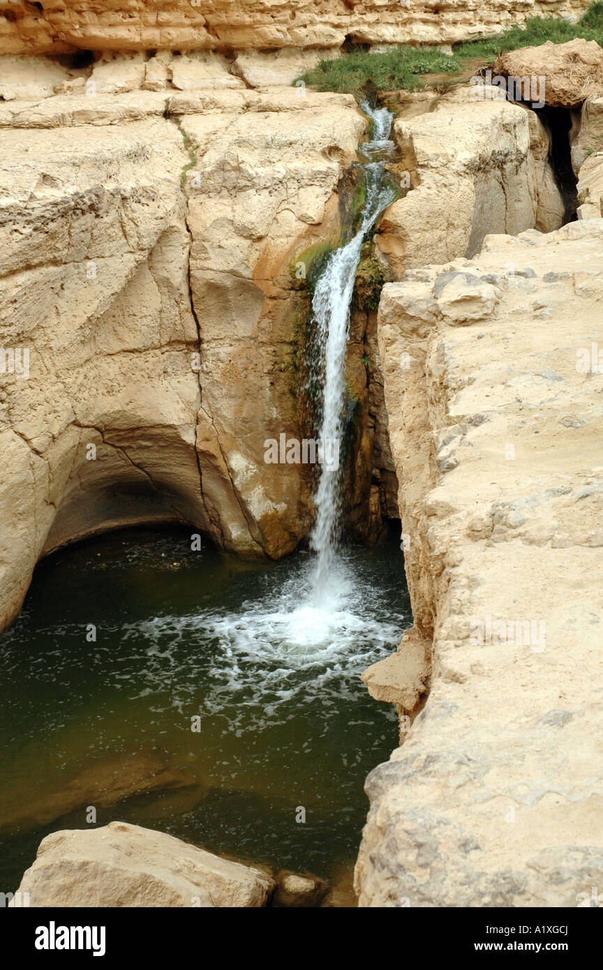 Waterfall in Tamerza oasis, Tunisia Stock Photo - Alamy