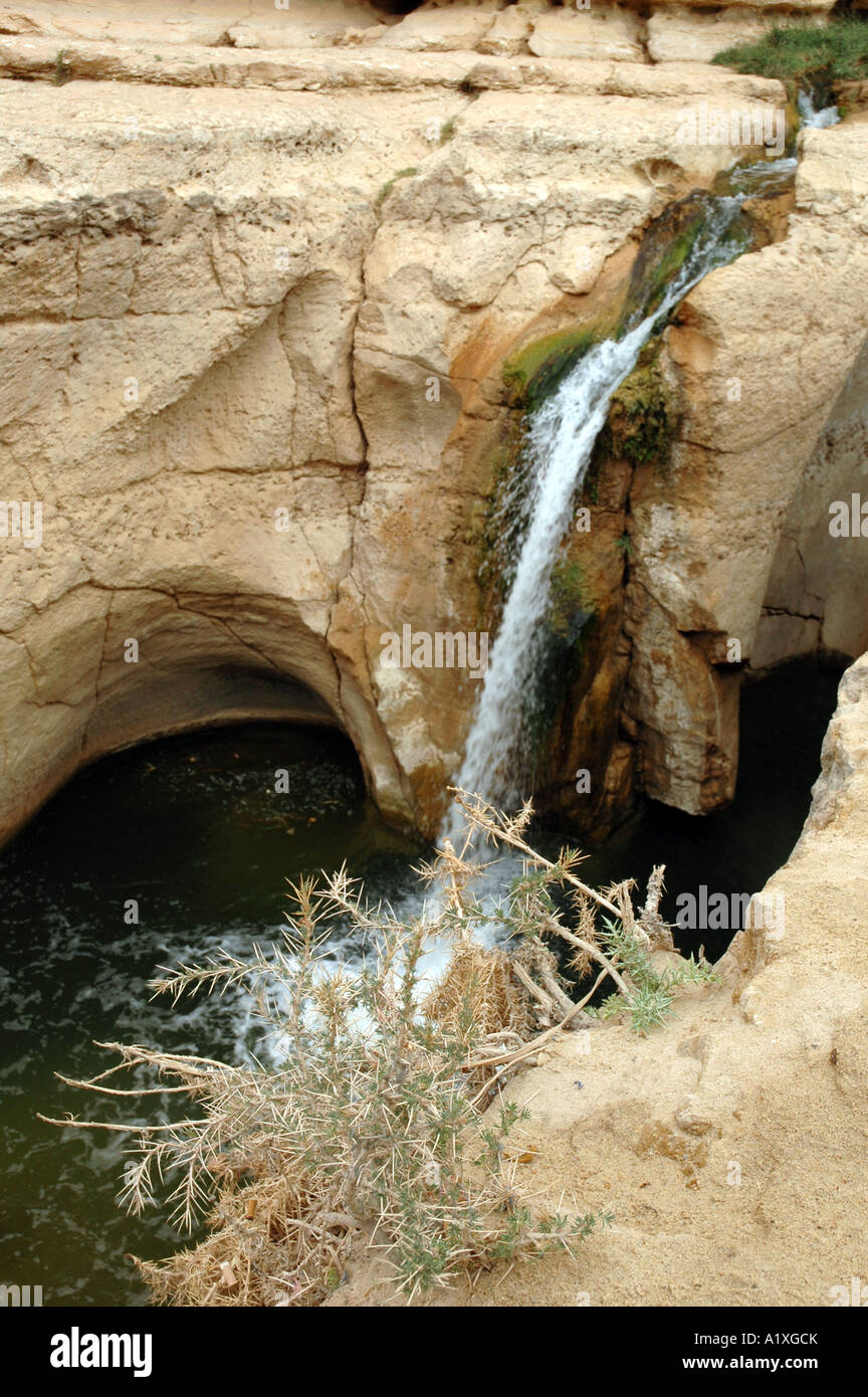 Waterfall in Tamerza oasis, Tunisia Stock Photo - Alamy