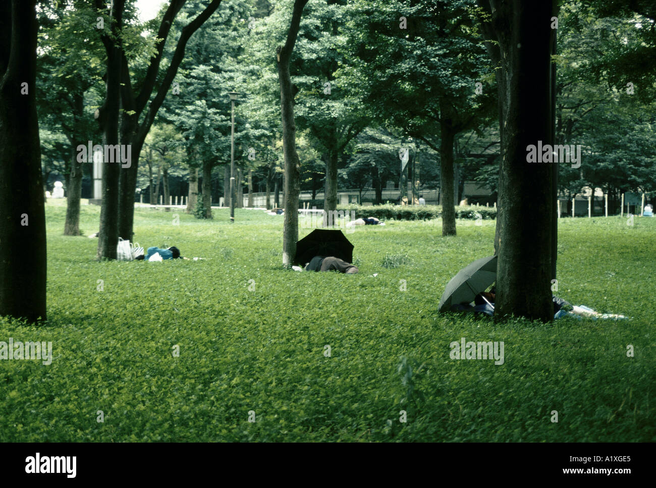 HOMELESS IN JAPAN HOMELESS IN THE SHINJUKU AREA OF CENTRAL TOKYO SUMMER ...