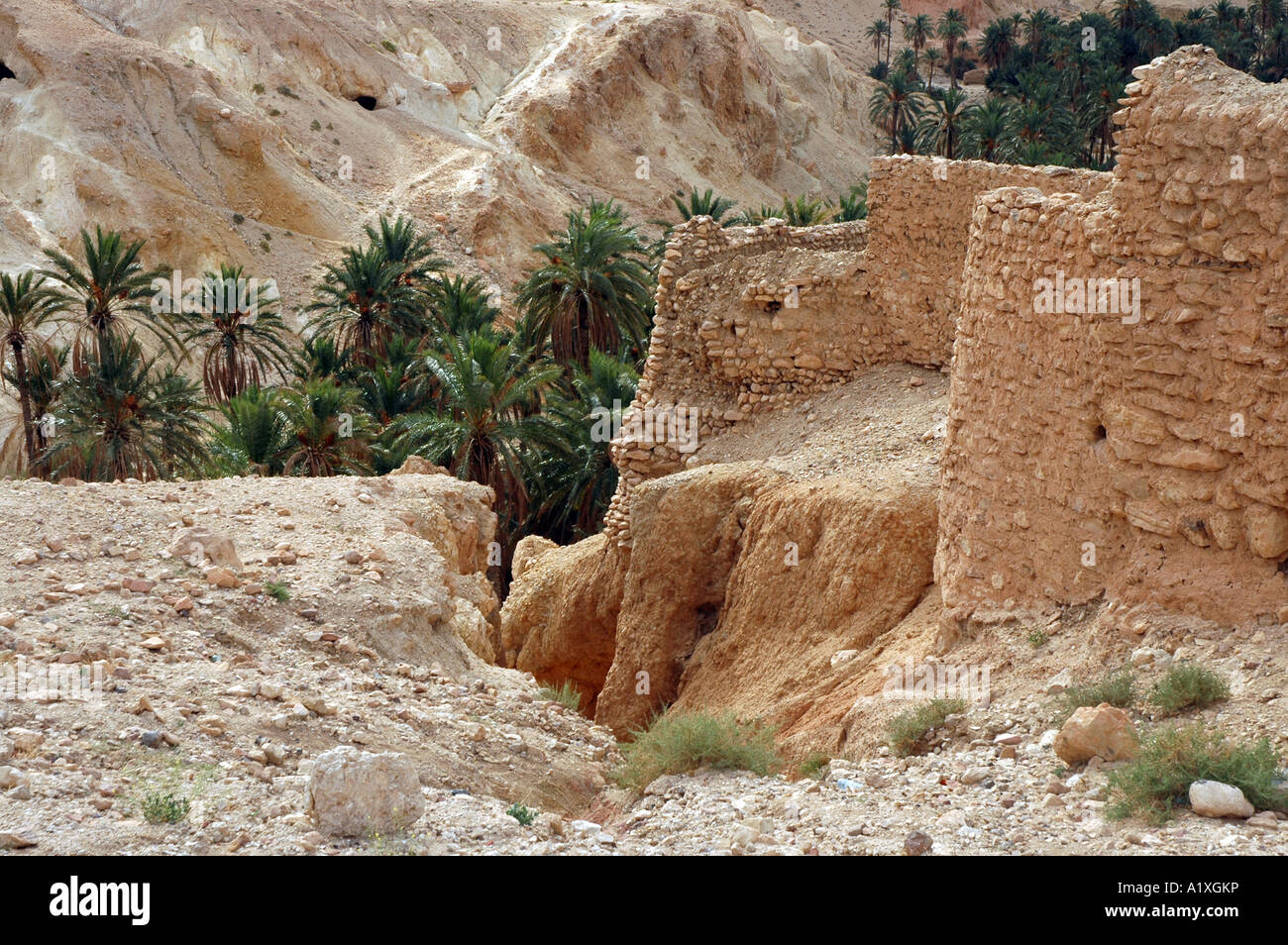 Buildings in Chebika oasis in Saharian Atlas mountains, Tunisia Stock ...