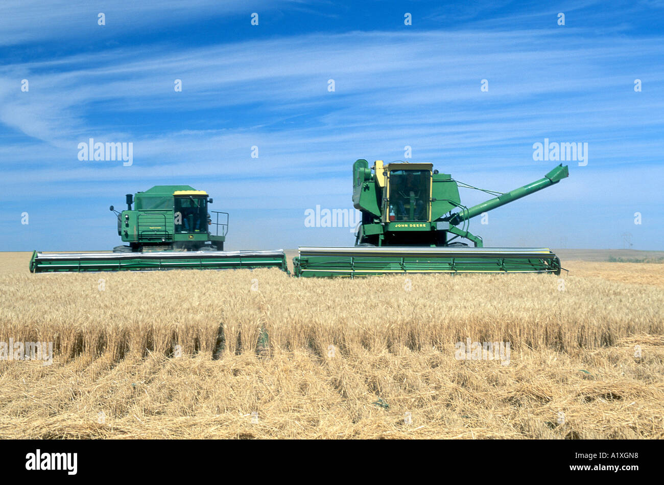Combines harvest wheat on Colorado farm USA Stock Photo - Alamy