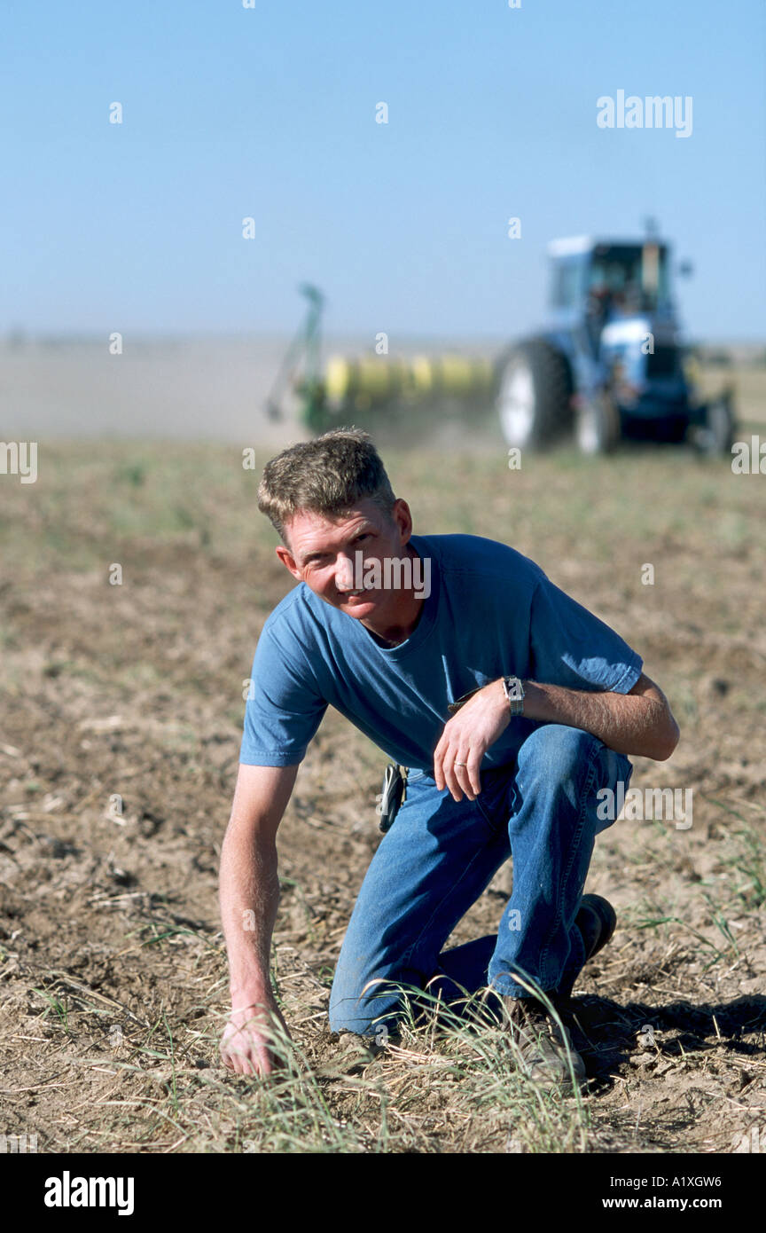 Colorado farmer checks soil during planting season in Colorado, USA ...
