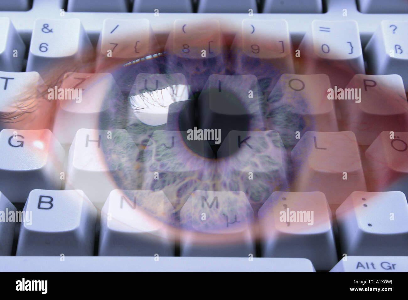 The eye anatomically hi-res stock photography and images - Alamy