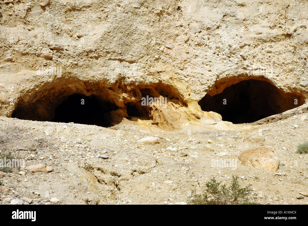 Small caves in Chebika oasis in Saharian Atlas mountains, Tunisia Stock ...