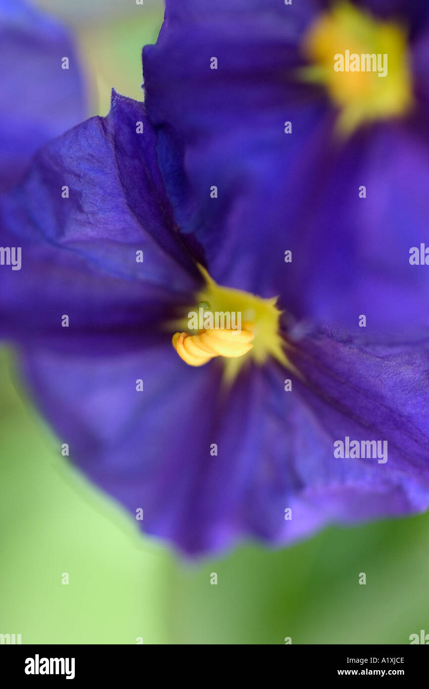 Midnight Blue High Resolution Stock Photography and Images - Alamy