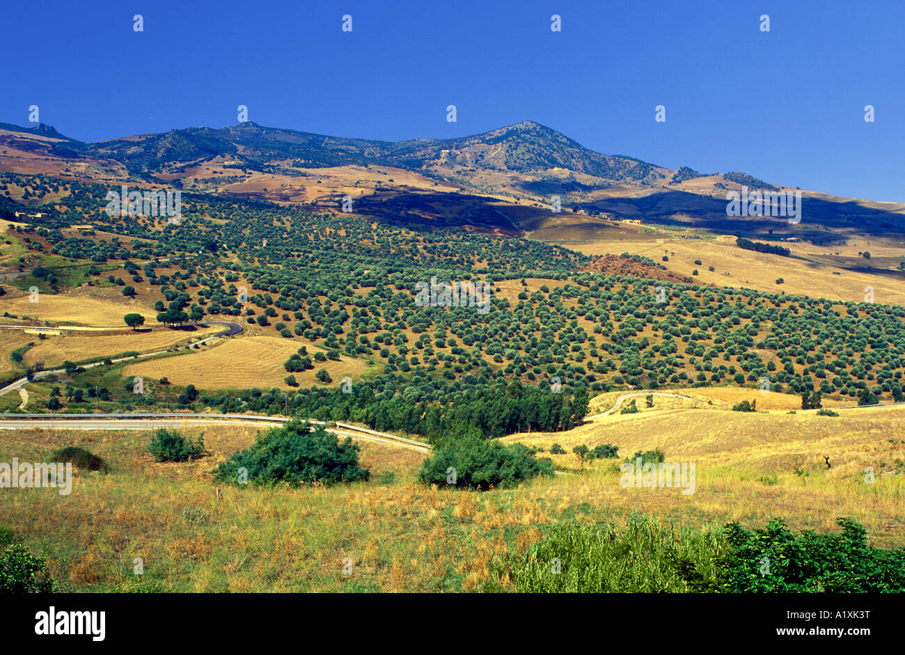LANDSCAPE NEAR PALERMO SICILY ITALY Stock Photo - Alamy