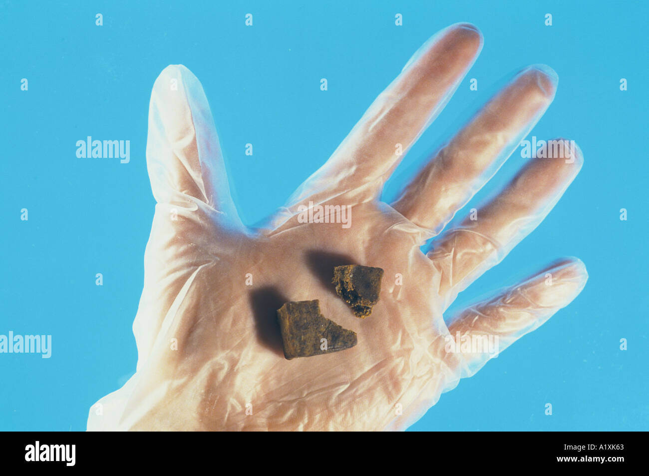 CANNABIS RESIN OTHERWISE KNOWN AS HASHISH PUFF SMOKE HASH LEB RESIN ...