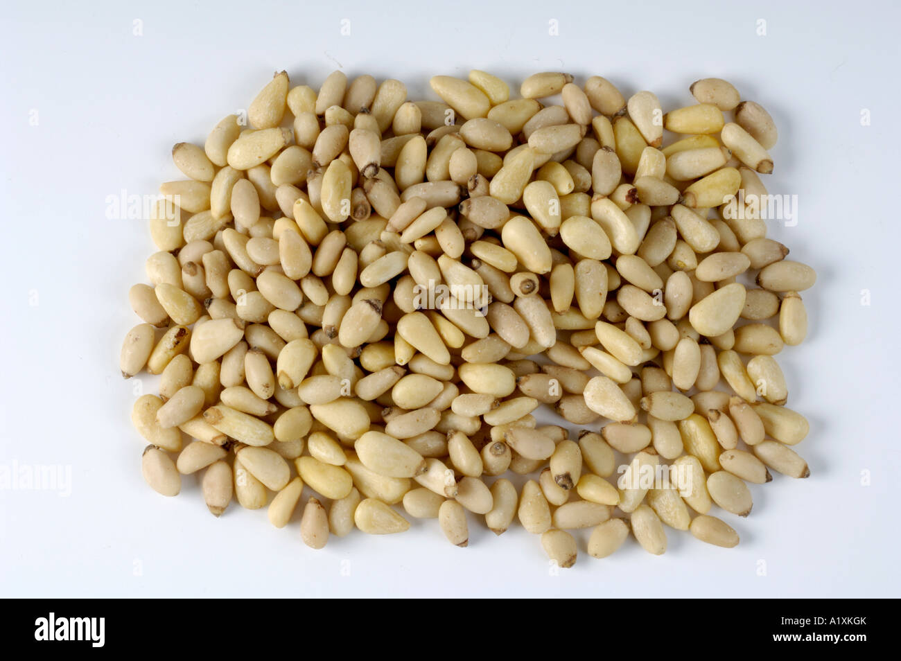 Pine nuts picture hi-res stock photography and images - Alamy
