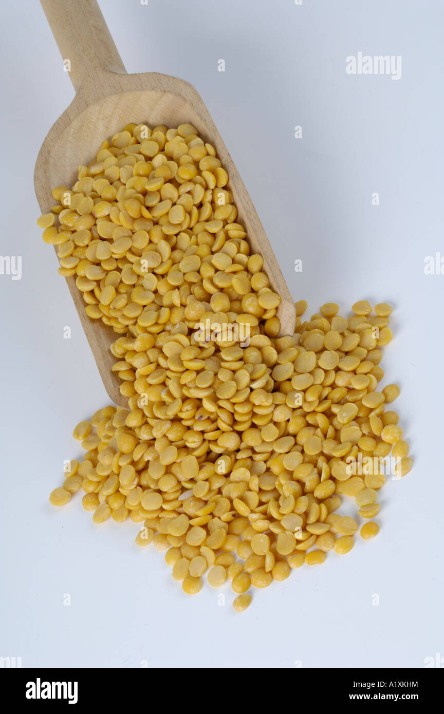 Lentils Toor dal Lens esculenta Linsen Toor dal Stock Photo - Alamy