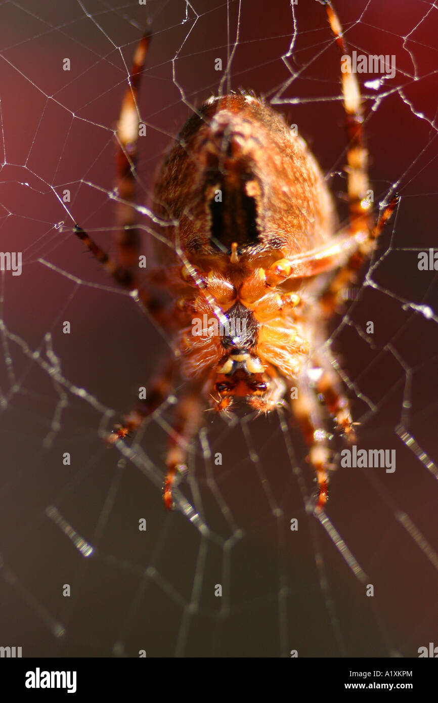 Infinity symbol fine hi-res stock photography and images - Alamy