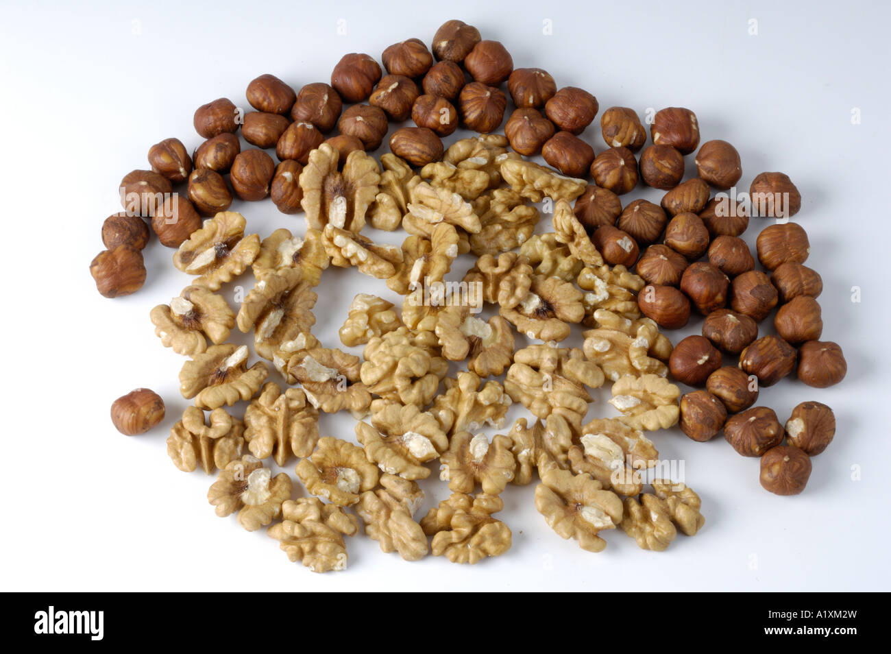 Walnut blank hi-res stock photography and images - Alamy