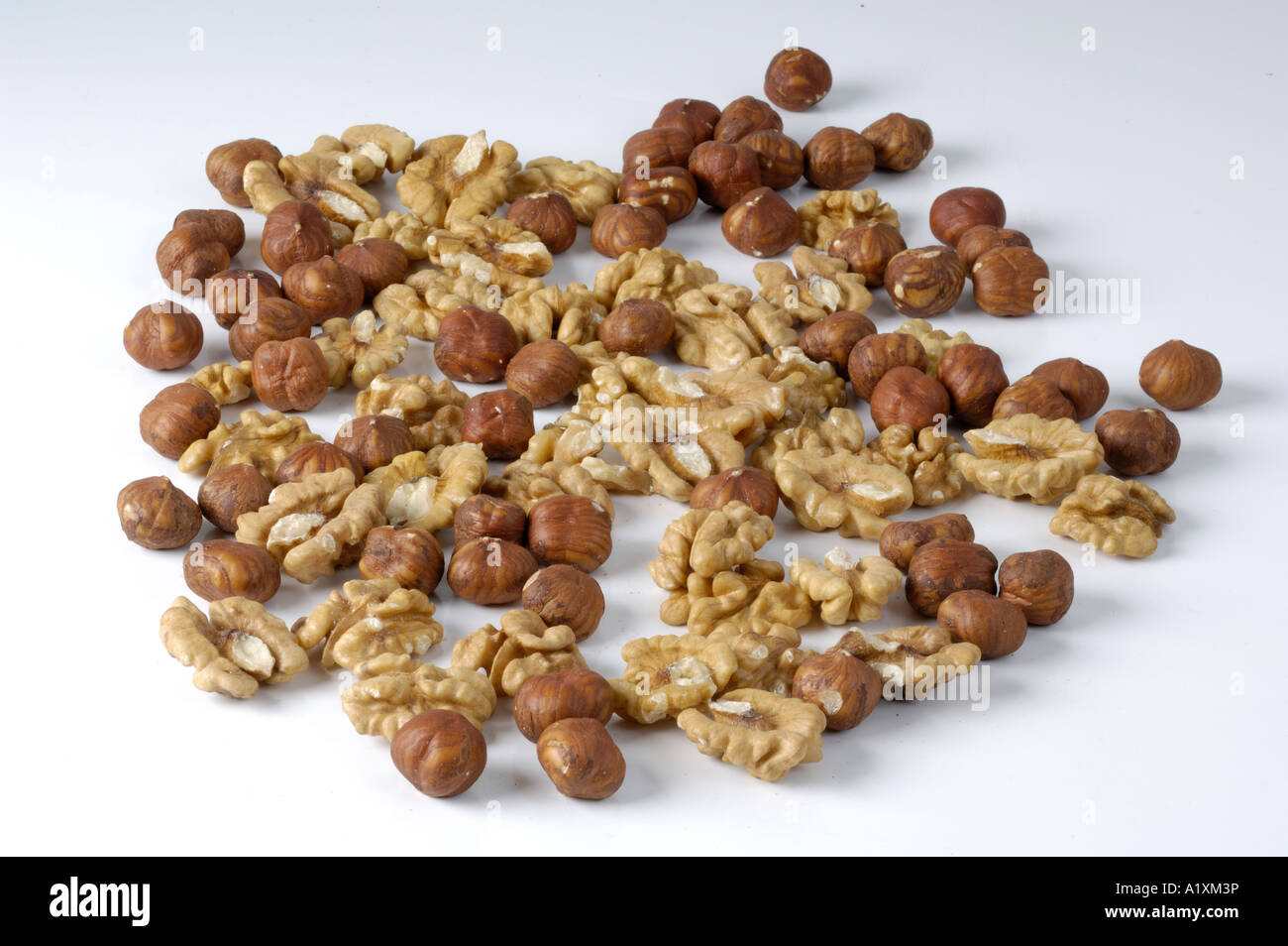 Hazelnuts and English Walnut Persian Walnut Stock Photo - Alamy