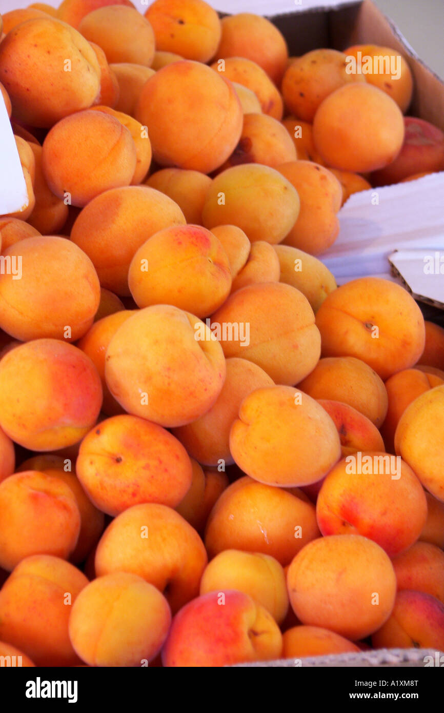 Economics agriculture service hi-res stock photography and images - Alamy