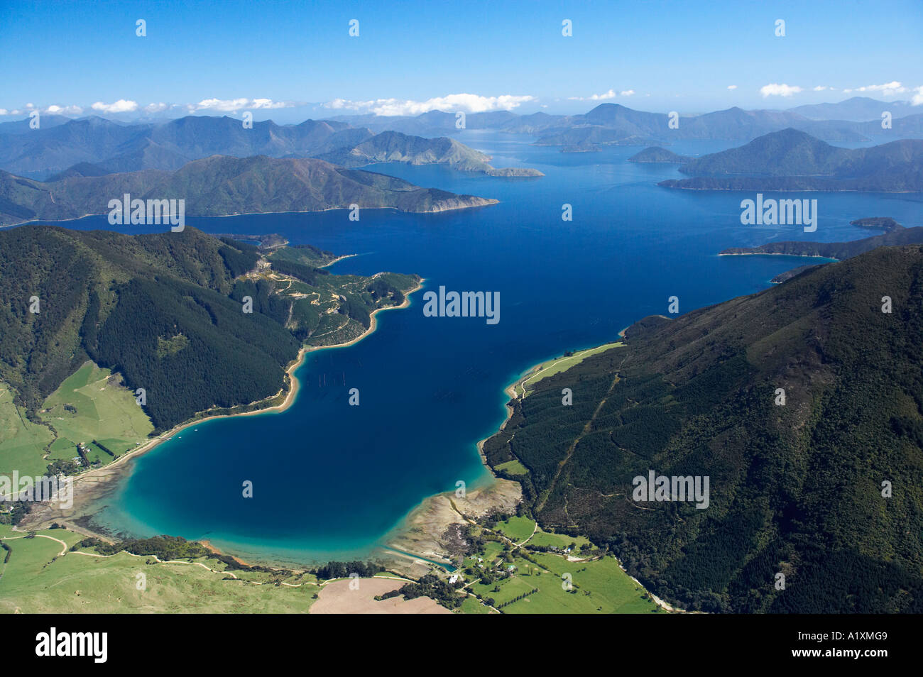 Clova Bay Pelorus Sound Marlborough Sounds South Island New Zealand ...