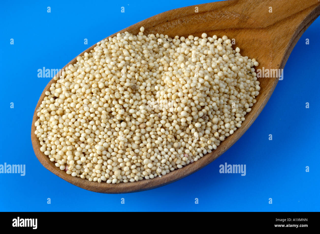Amaranth Amaranthus species Amaranth Stock Photo - Alamy