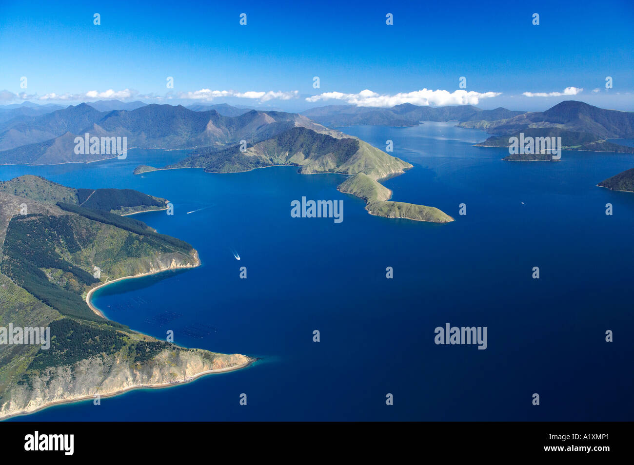 Pelorus Sound Marlborough Sounds South Island New Zealand aerial Stock ...
