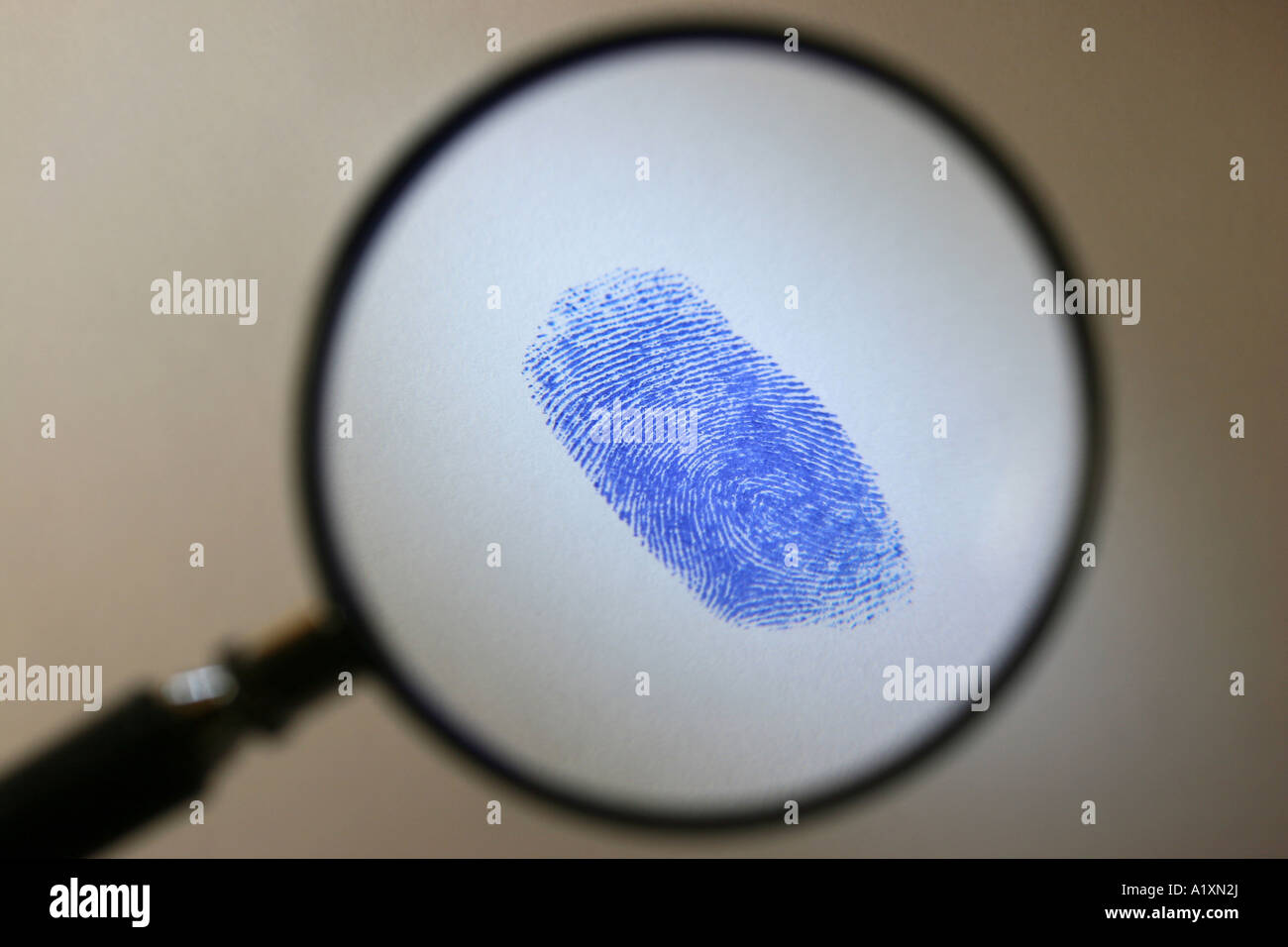 a magnifier and a fingerprint Stock Photo - Alamy