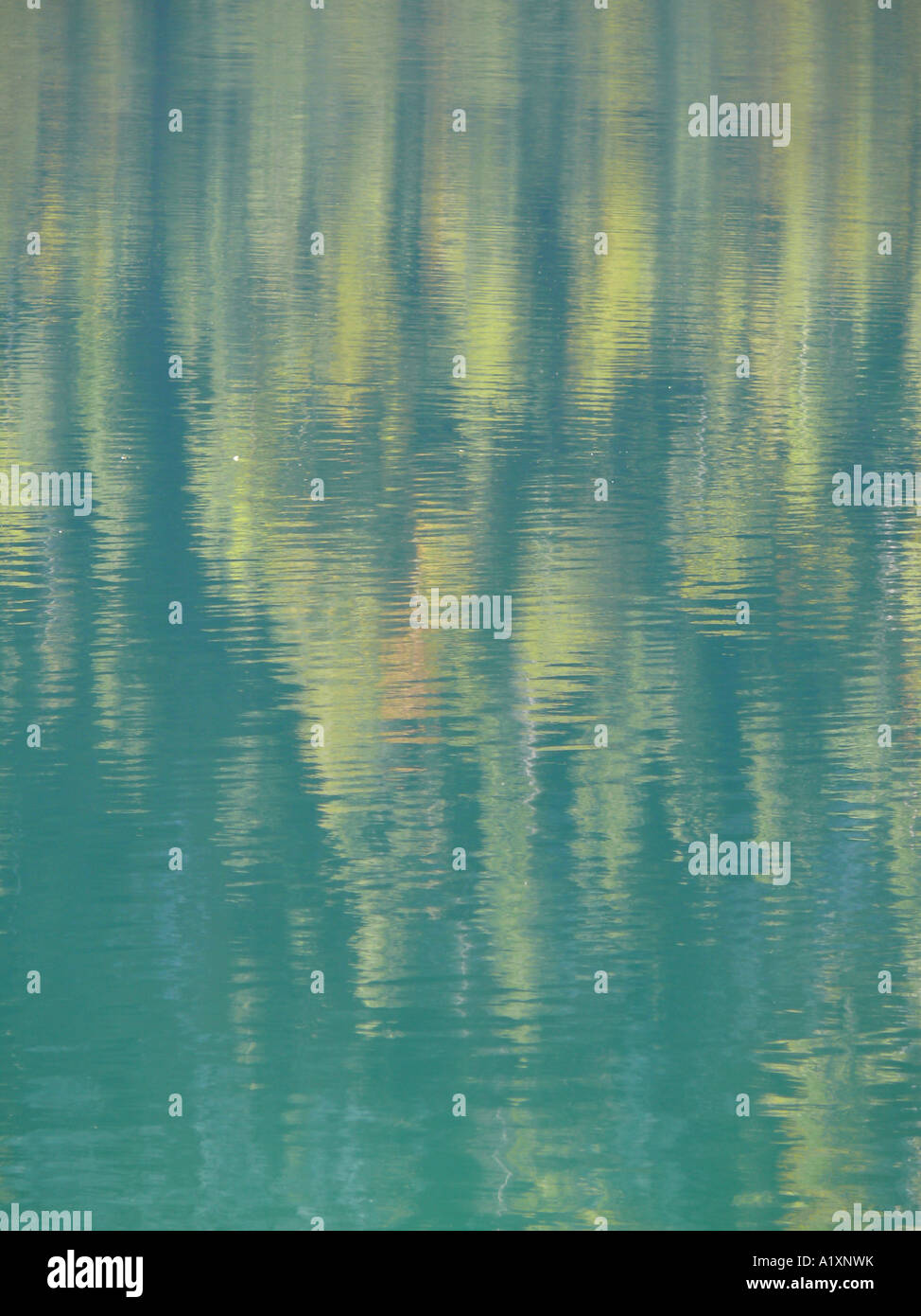 reflection in the lake Stock Photo - Alamy