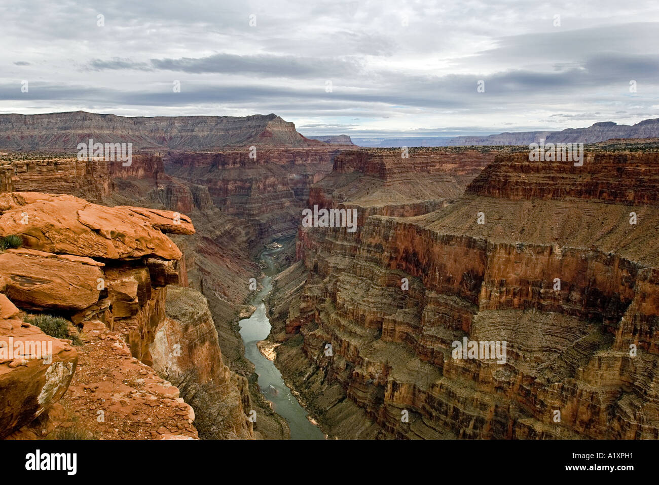 Toroweap Point, Grand Canyon Stock Photo - Alamy