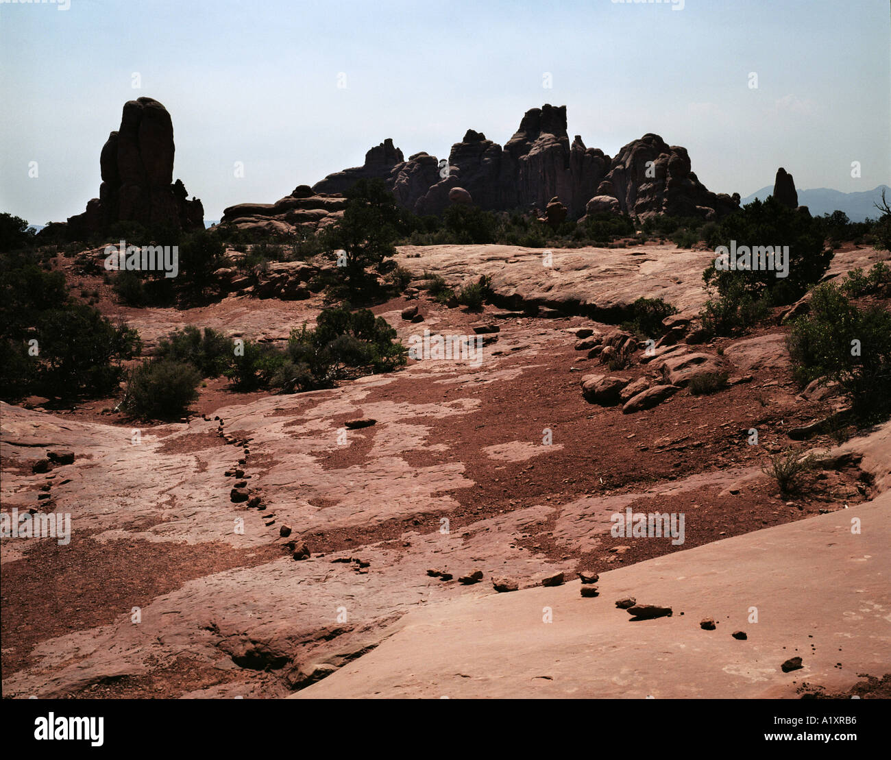 Sparse Scattered Vegetation High Resolution Stock Photography and ...