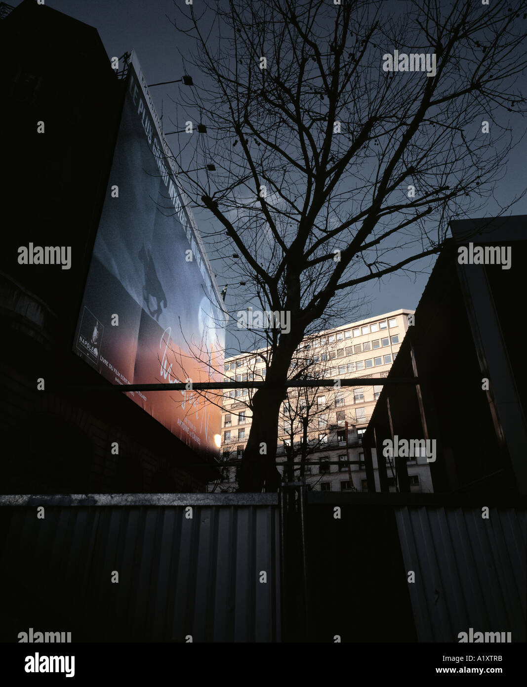 Giant billboard and tree, Paris, France. High-end scan of 6x7cm ...