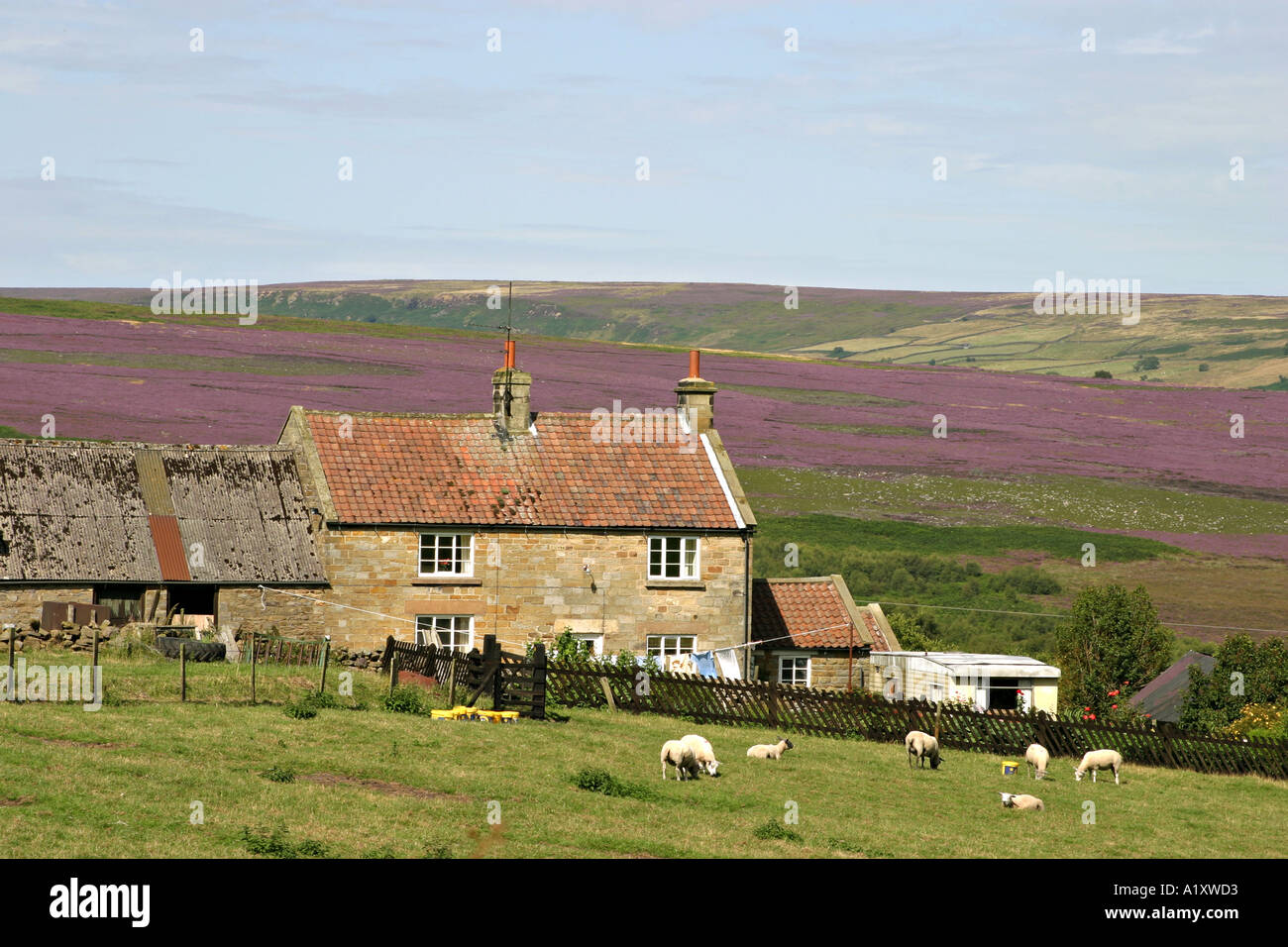 Bransdale moor hi-res stock photography and images - Alamy