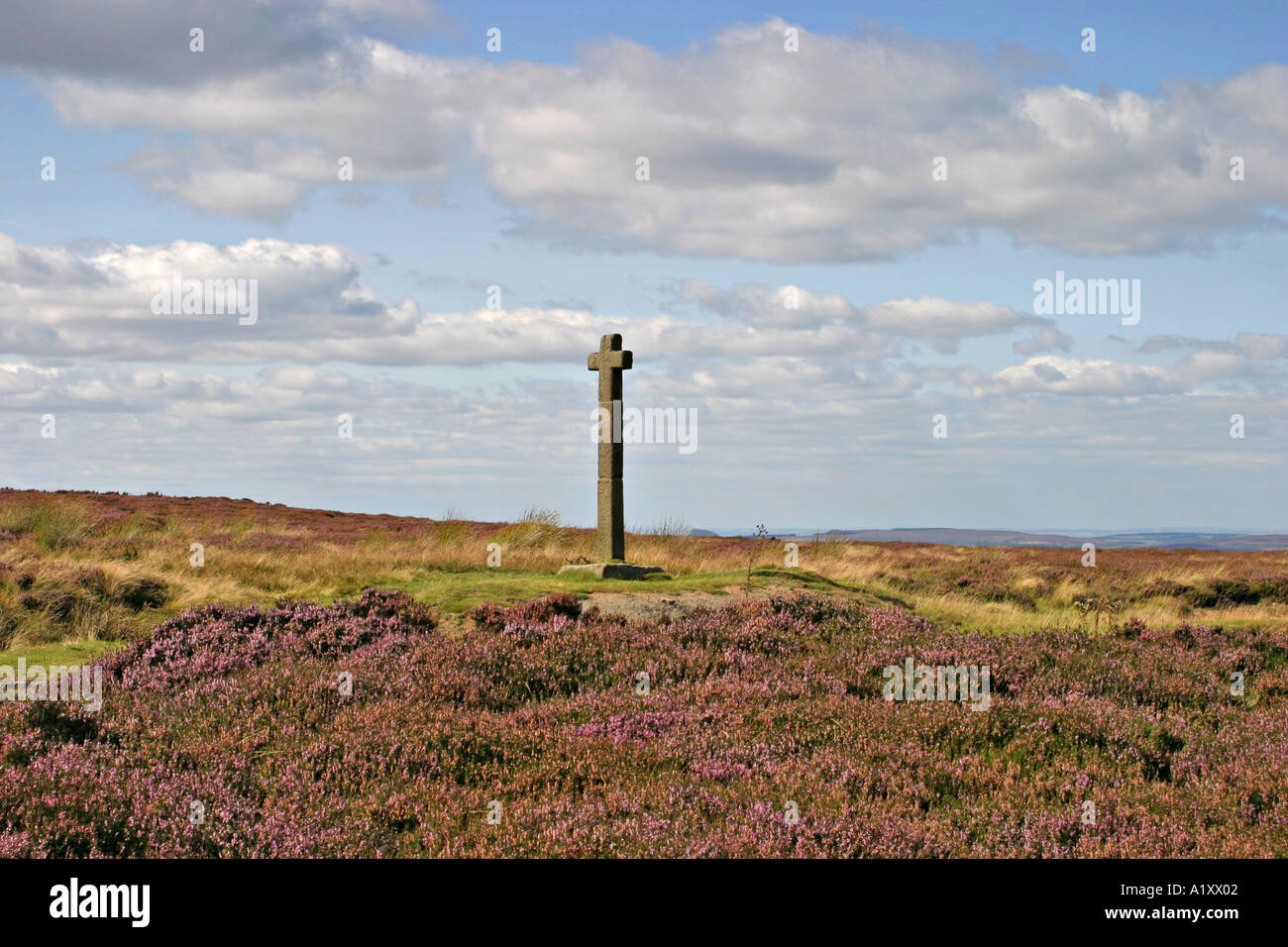 Young ralph cross hi-res stock photography and images - Alamy